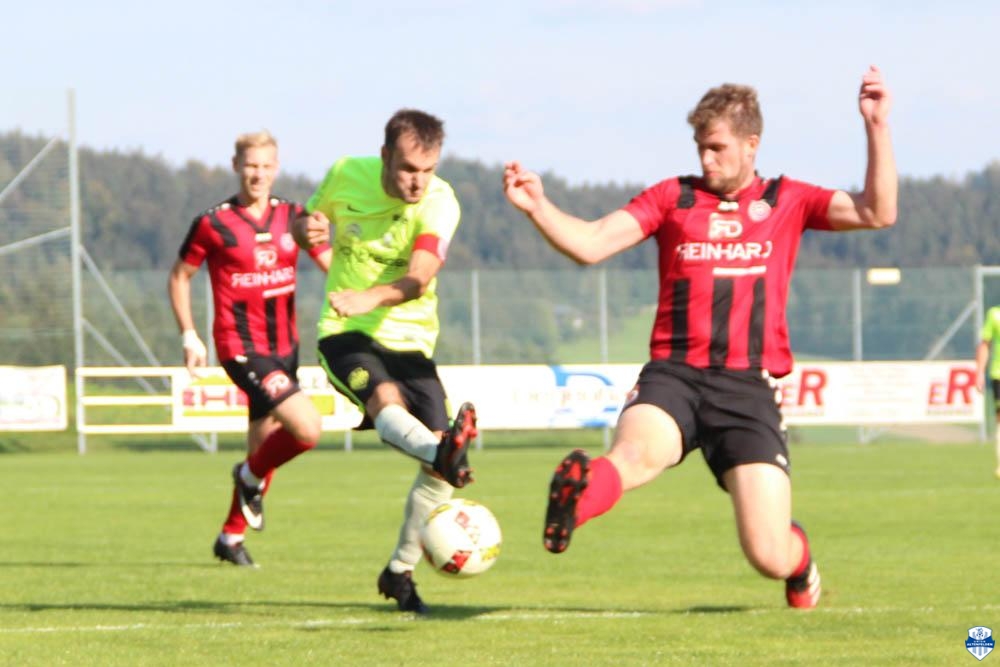 UA59-Nachwuchs: U10 triumphiert beim Hallenturnier in Lembach , U11 ...